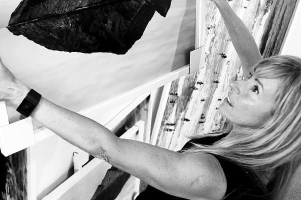 Cathy Carter | The Art Precinct