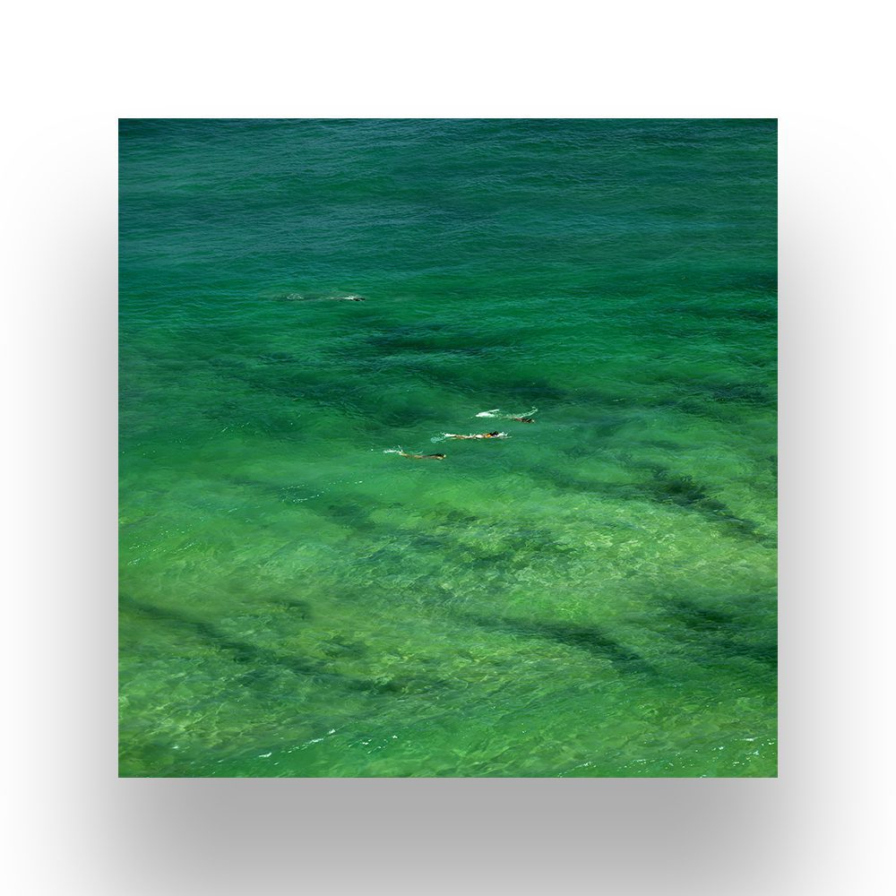 Buy ‘Oceanids, Kaitiaki’ archival photograph | The Art Precinct